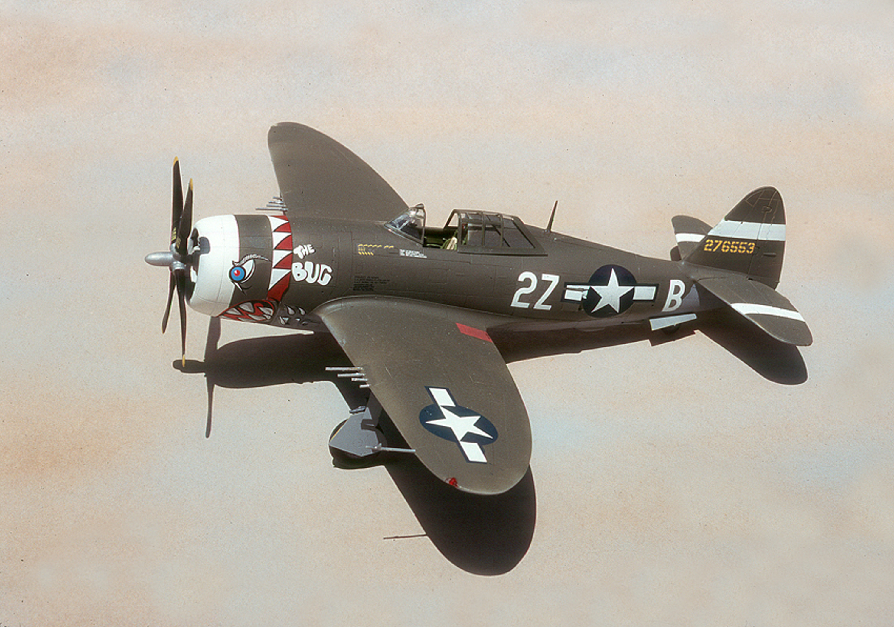 The Bug | IPMS – Capt. James J. McKinstry Chapter